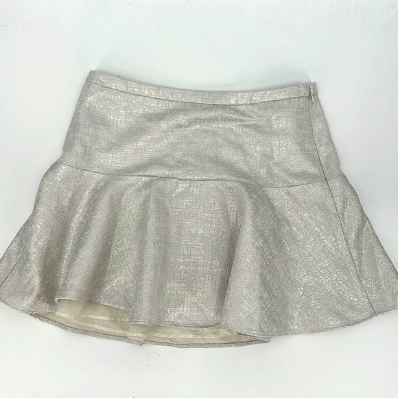 Express | Skirts | Express Skirt Mini Skirt Size 2 Silver | Poshmark
